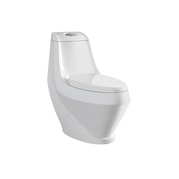 Floor-standing WC 2160 – ArcomGroup