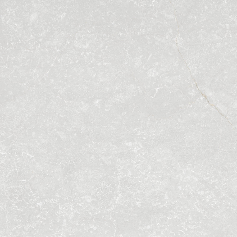 Pulsar Gris – ArcomGroup